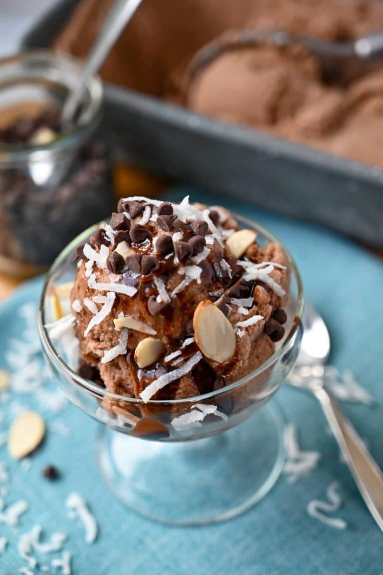 Vitamix Vegan Ice Cream- Amee's Savory Dish