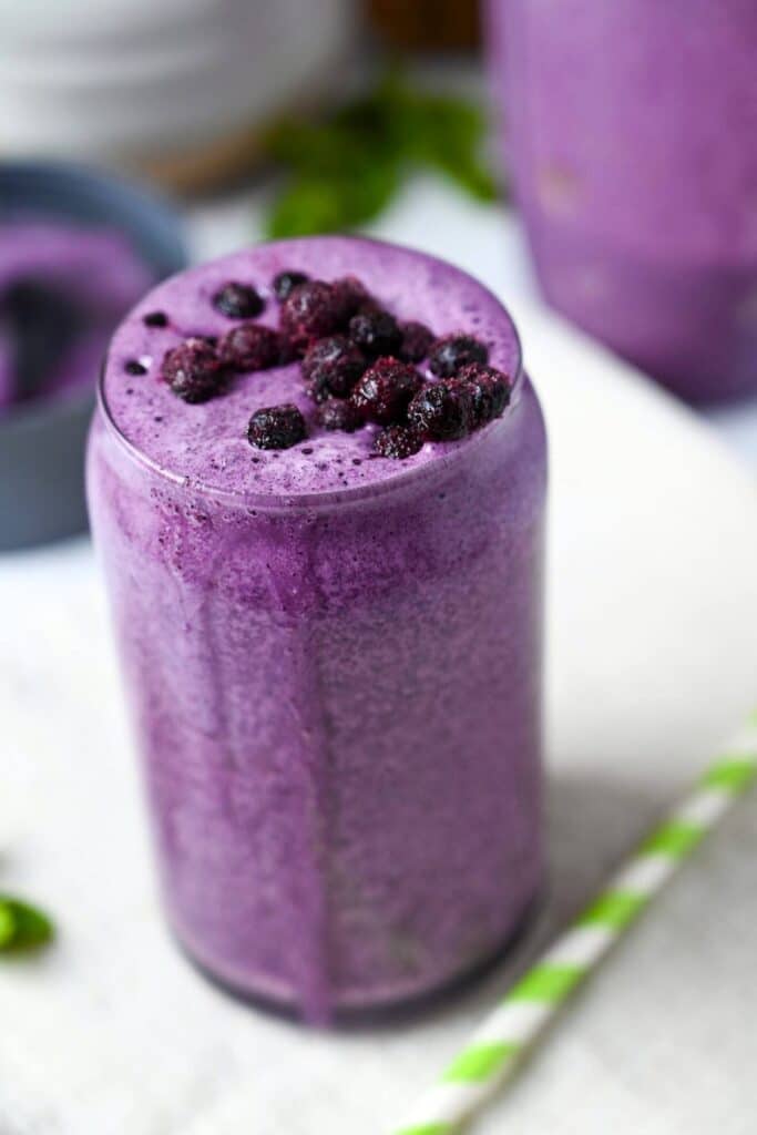 Wild Blueberry Protein Shake- Amee's Savory Dish
