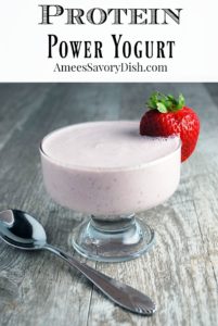 Protein Power Yogurt Recipe- Amee's Savory Dish