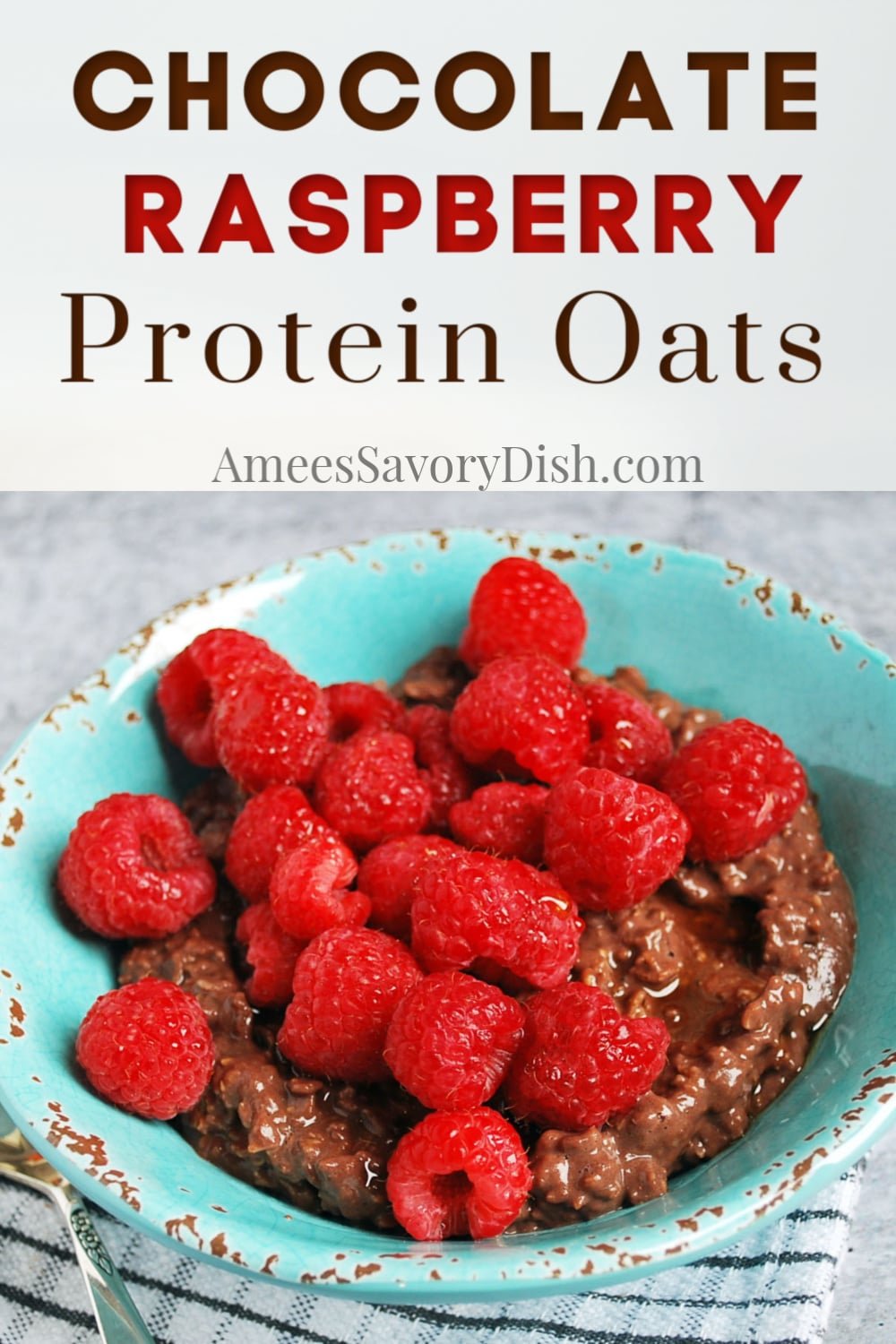 Easy Chocolate Raspberry Protein Oats Recipe- Amee's Savory Dish