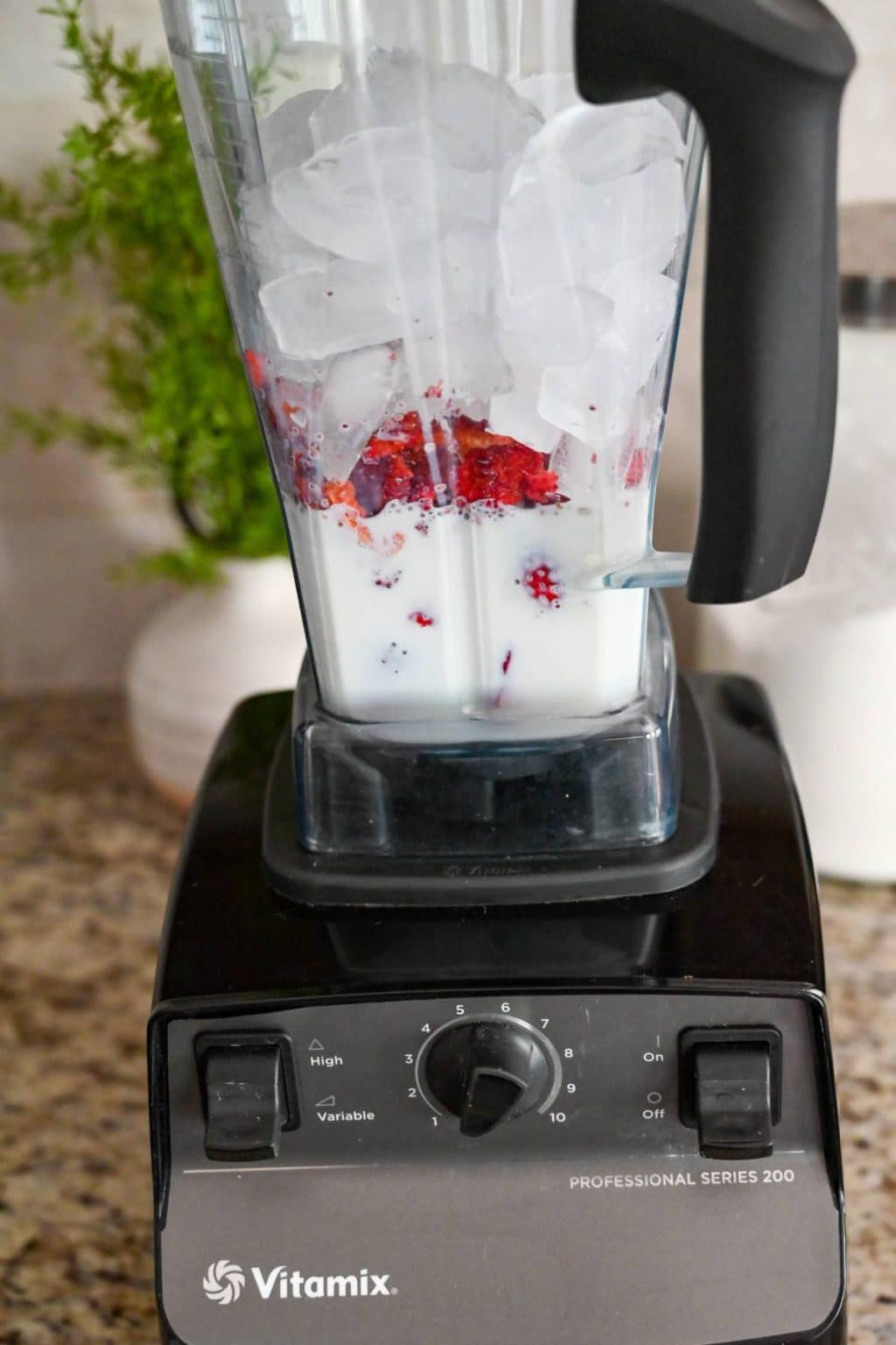 Vitamix Strawberry Ice Cream - Amee's Savory Dish